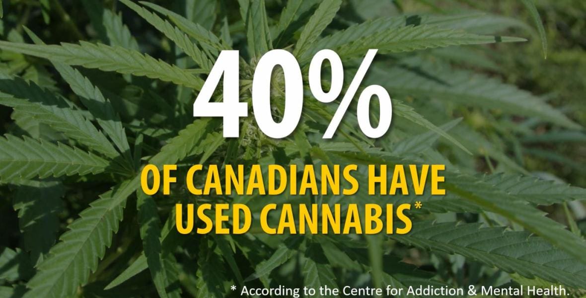 Cannabis (Marijuana) Use & Workplace Safety Considerations | Sayle Group