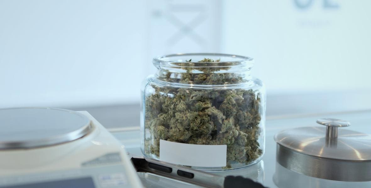 Cannabis Workplace Safety Training | Cannabis At Work | Sayle Group